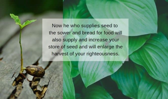 Planting Good Seed | Revelation Within